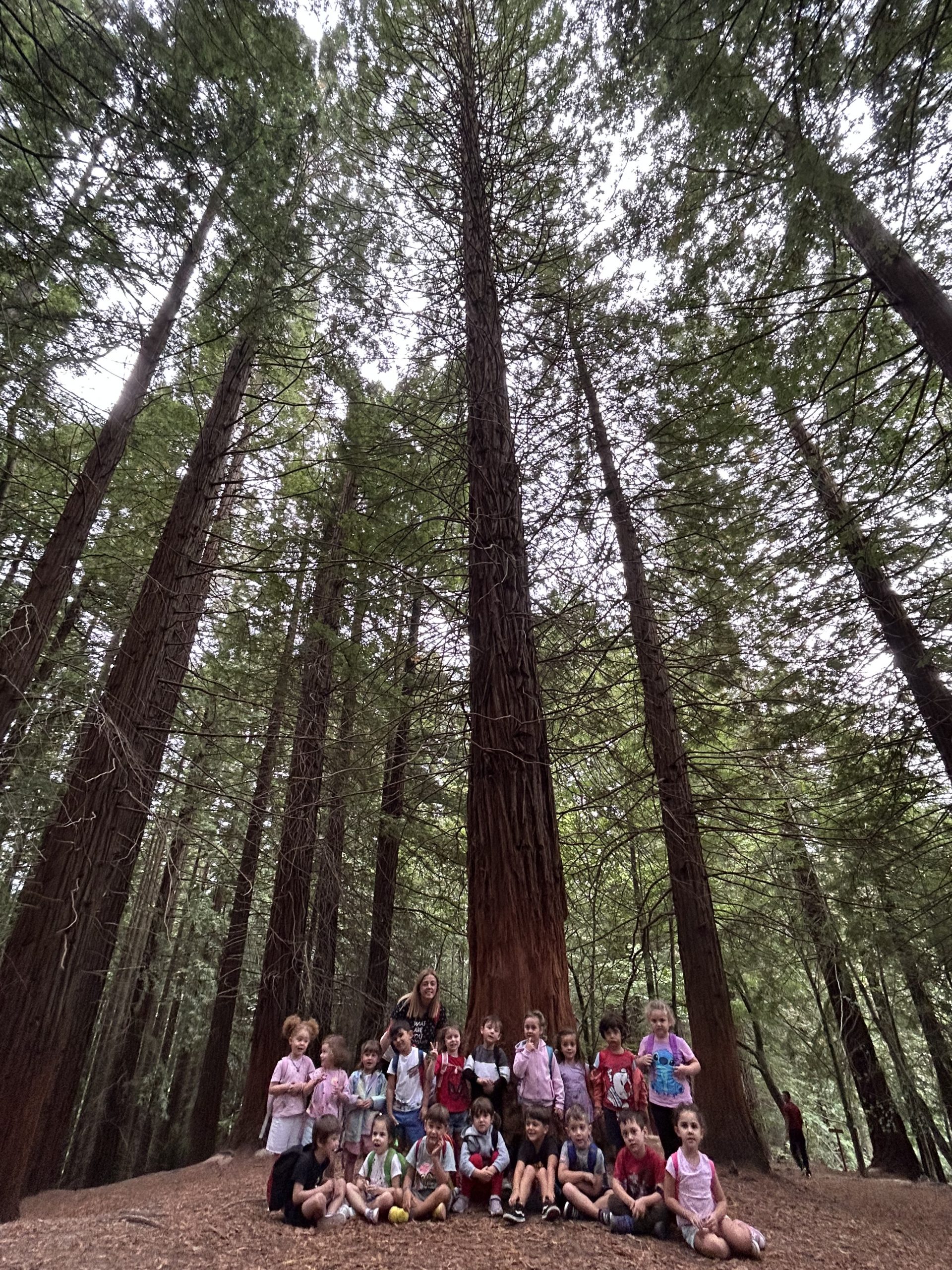 NOS VAMOS AL PARQUE DE SECUOYAS DE CABEZÓN DE LA SAL| | Salesianos ...